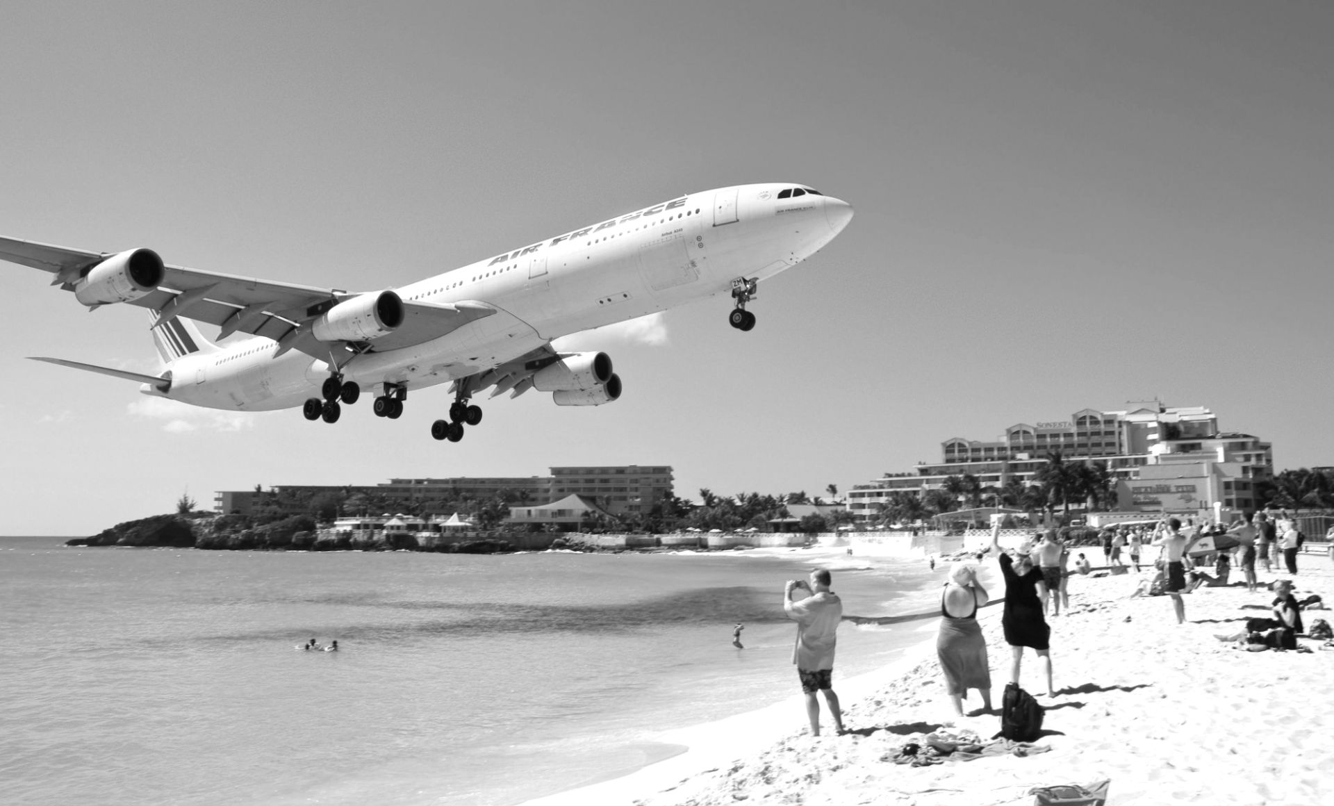 Sightseeing tours | Royal Ride